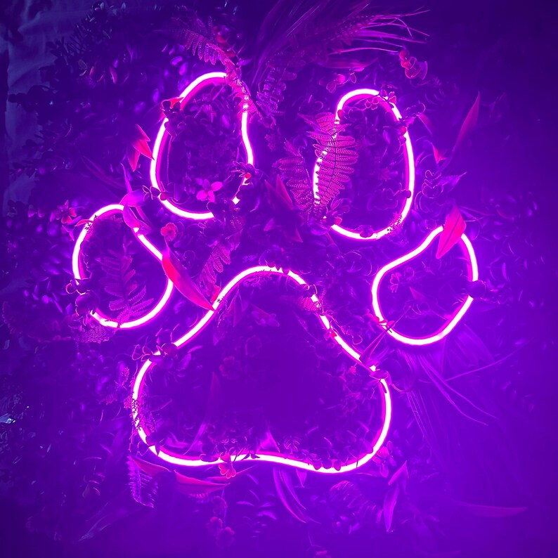 Neon Pup Paw Print 50cm X 50cm Foliage Backed - Etsy