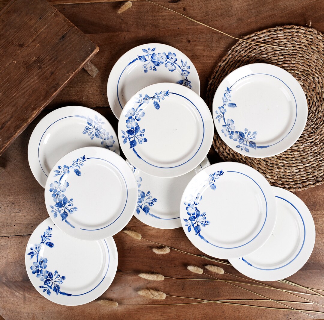 Vintage French Plates Set of 9 Blue and White Floral Flat Plates ...