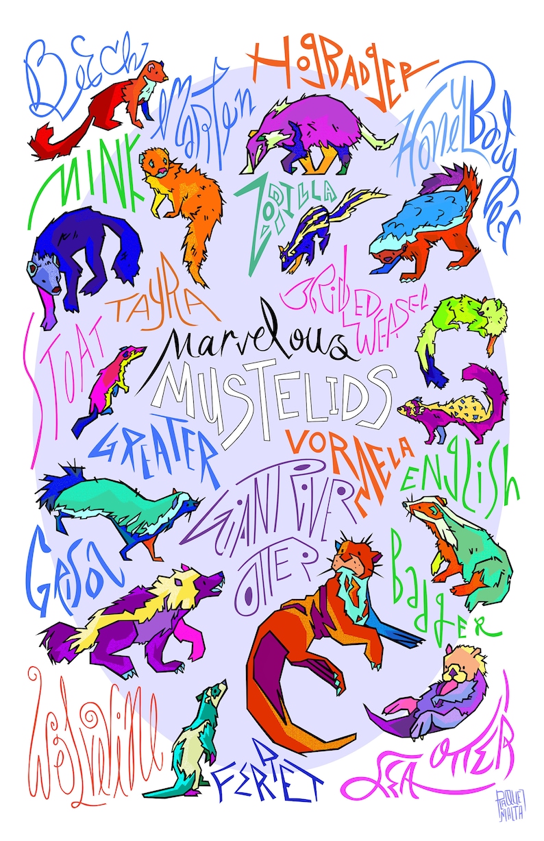 Marvelous Mustelids Poster - Etsy