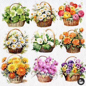 Watercolor Floral Basket Collection Clipart, 50 PNG Flower Clipart ...