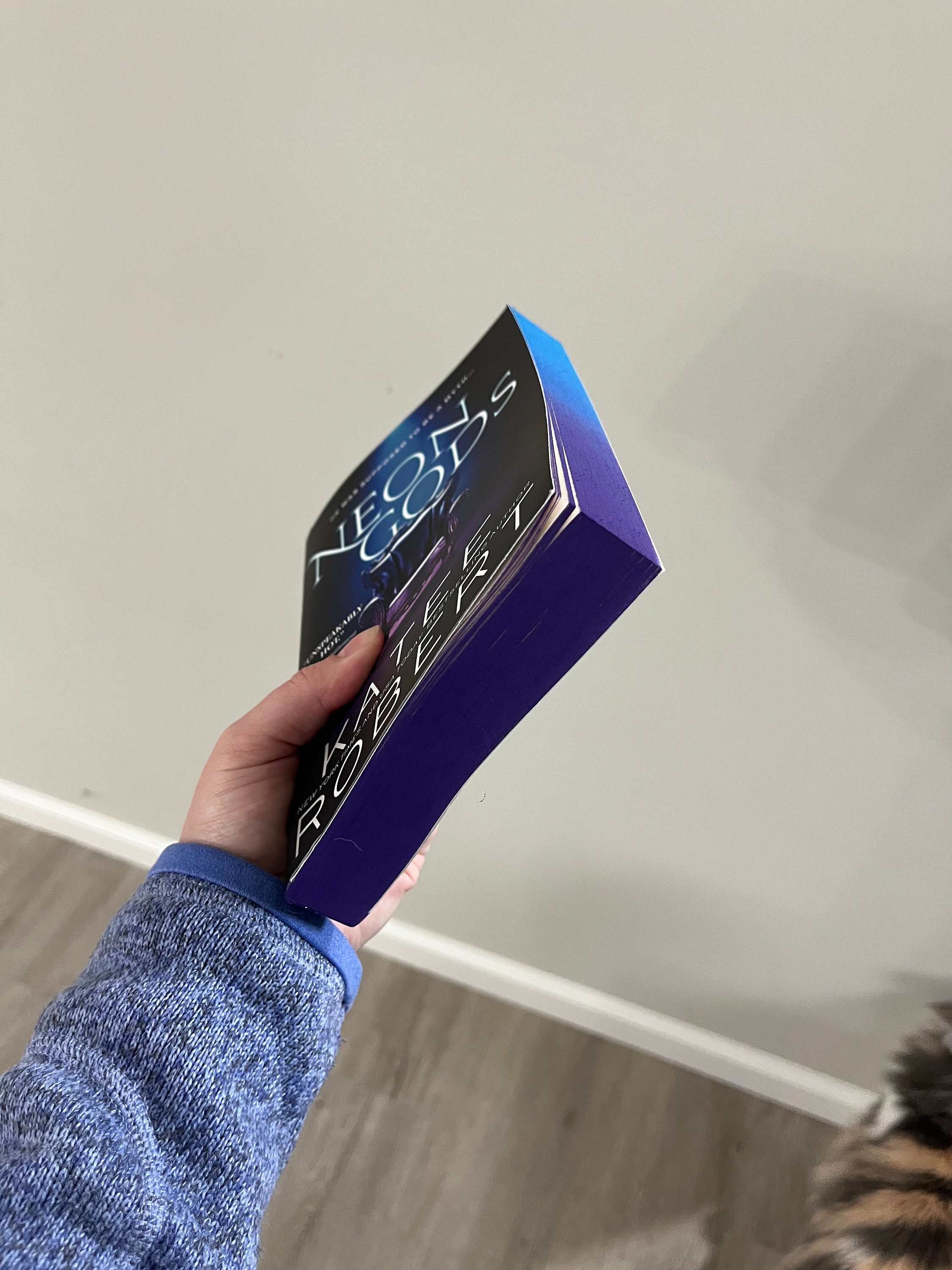 Custom Sprayed Book Edges--ombré, BOOK INCLUDED - Etsy