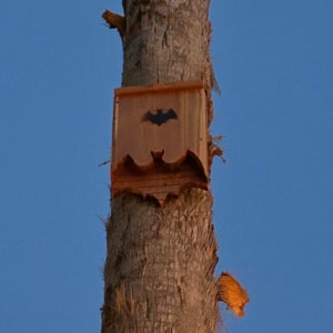 Bat Box, Large Aromatic Cedar Bat Box, Bat House, Bat Nest, Bat ...
