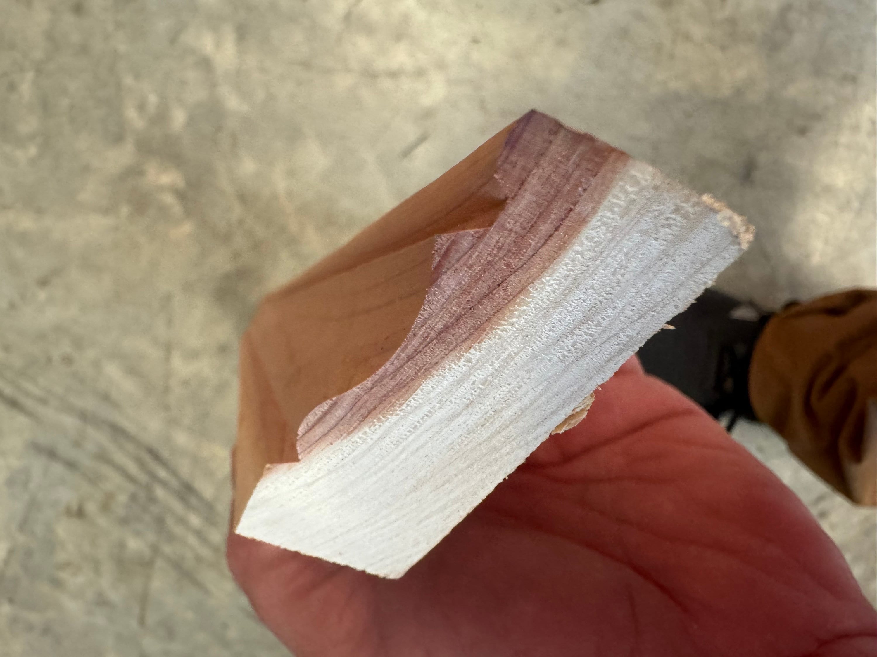 Aromatic Cedar Trim Moulding Transform Your Closet With Eastern Cedar ...