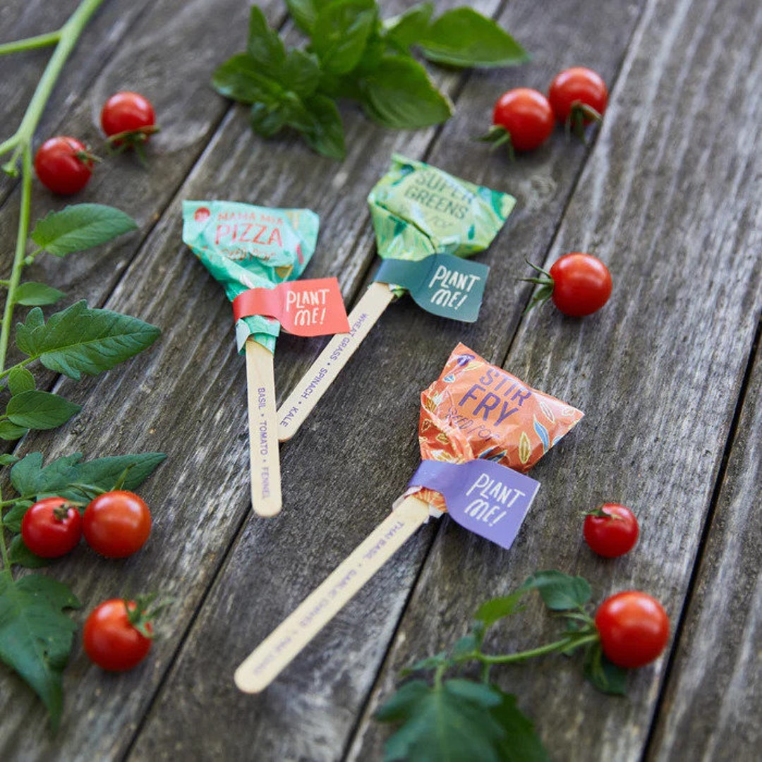 Seed Lollipop Culinary-pizza, Super Greens or Stir Fry - Etsy