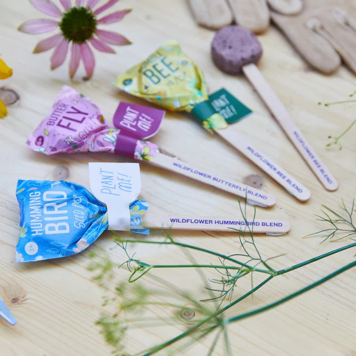 Seed Lollipop Pollinator-bee, Butterfly or Hummingbird Blend - Etsy