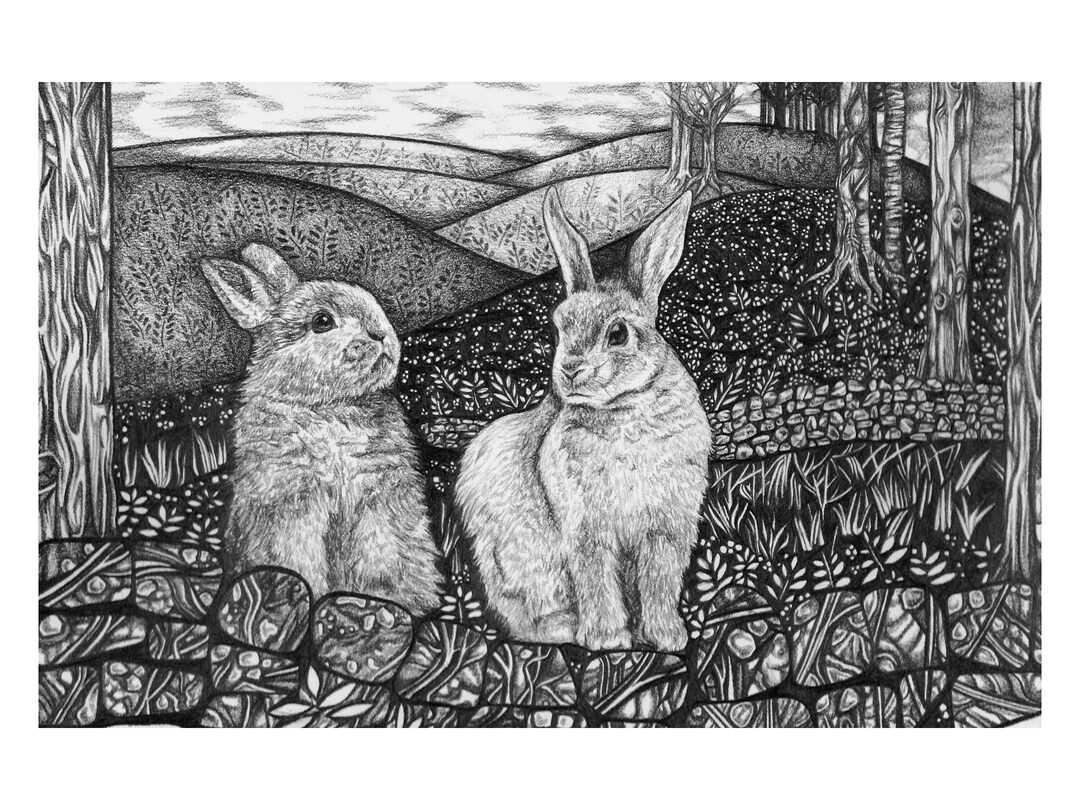 Rabbit Drawing Art Print - Etsy