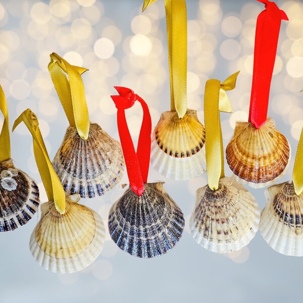Sea Shell Ornaments - Etsy