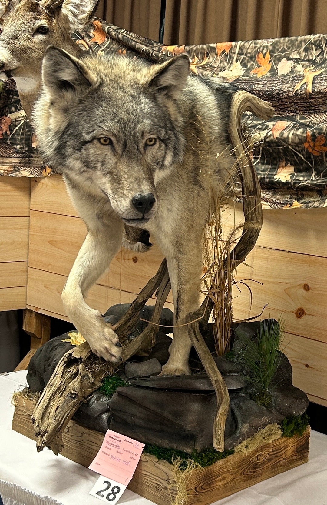 Half Wolf Pedestal - Etsy