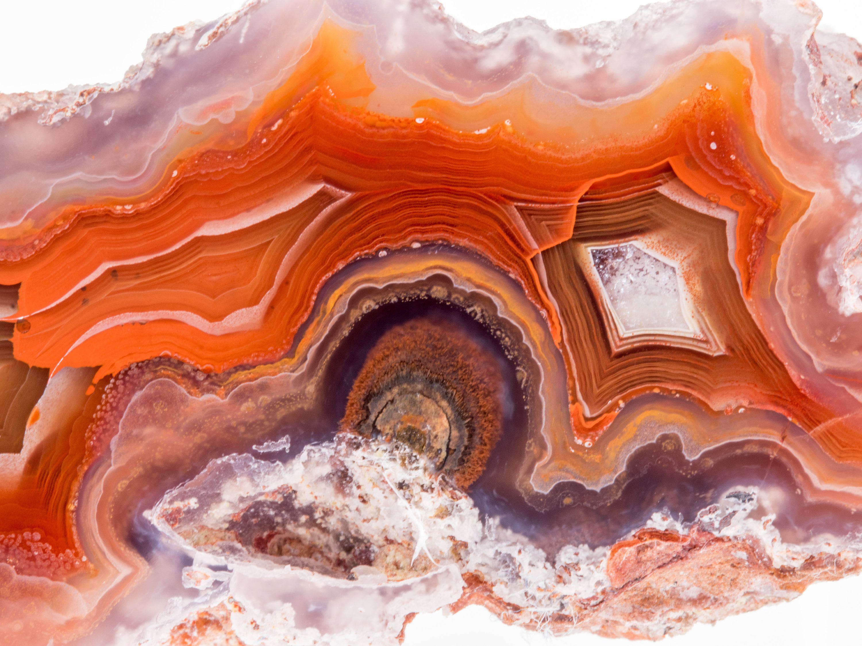 Laguna Agate Polished Specimen Pair - Etsy