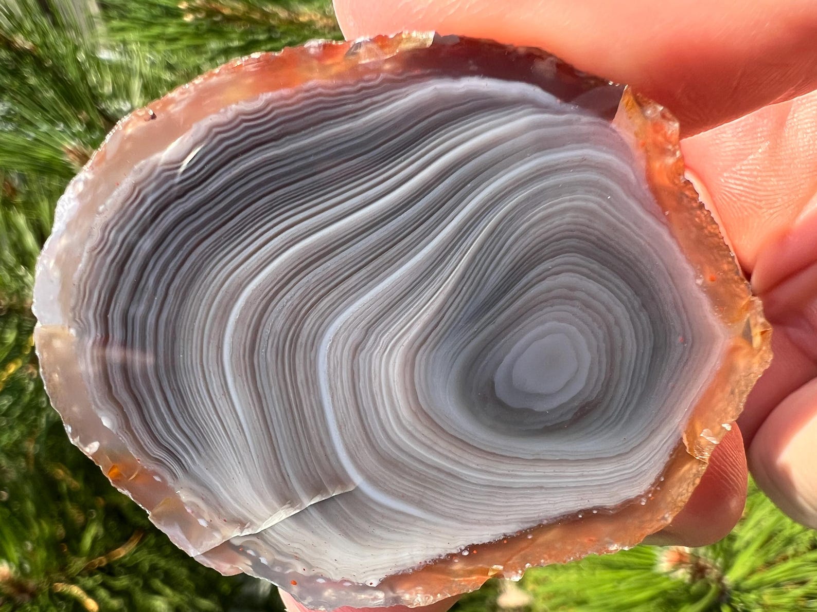 Botswana Agate Polished Pair. - Etsy