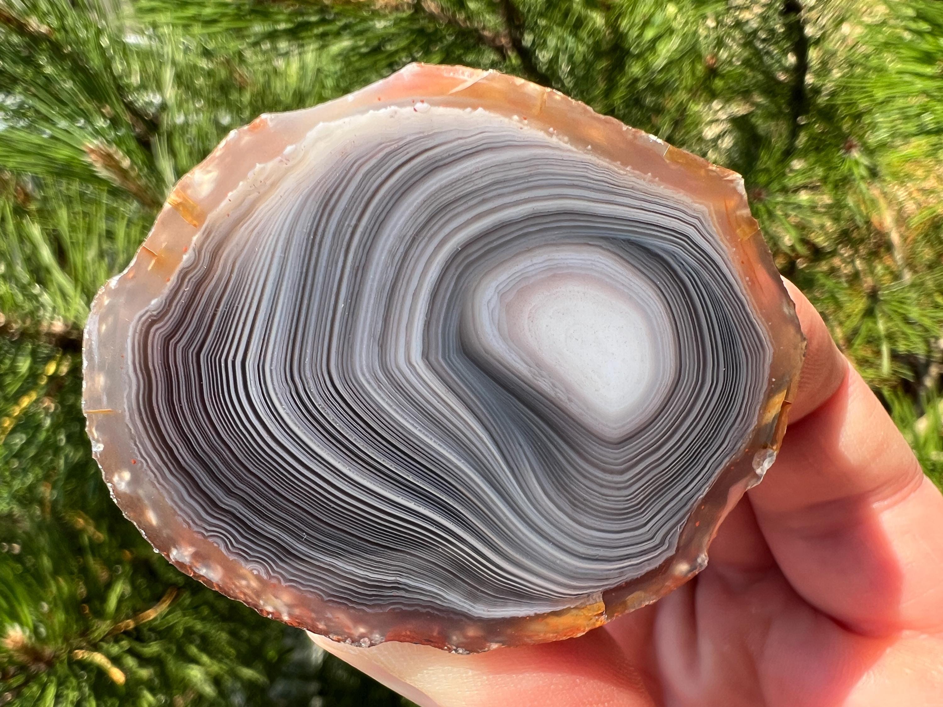 Botswana Agate Specimen - Etsy