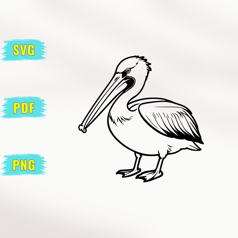 Pelican SVG, Pelican Outline Svg, PNG, PDF, Bird Svg, Pelican Vector ...