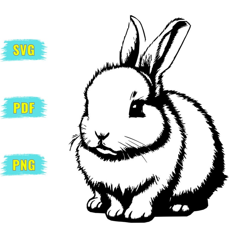 Cute Bunny SVG, Bunny Outline Svg Bundle, PNG, PDF Animal Svg Cute ...