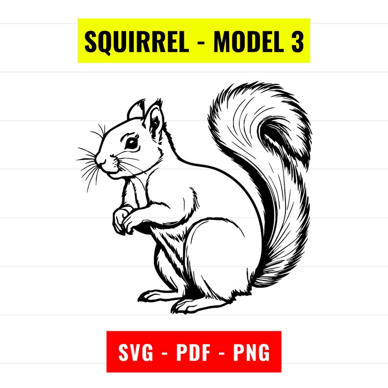 Cute Squirrel SVG, Squirrel Outline Vector, Squirrel Svg, Cute Squirrel PNG 300 Dpi, PDF ...