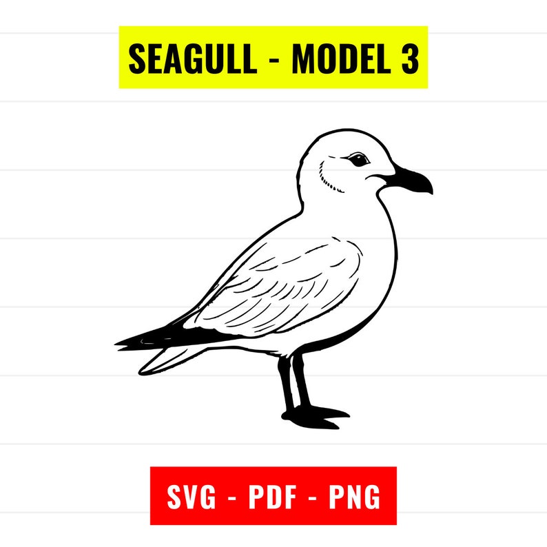 Seagull SVG, Cute Seagull Svg, PNG 300 Dpi, PDF Seagull Portrait ...