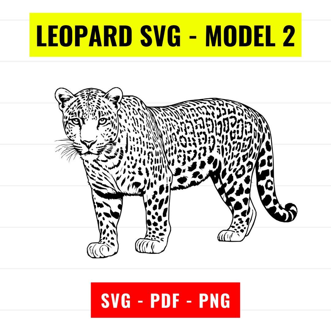 Leopard SVG, Leopard Outline Vector, Leopard Portrait Svg, Leopard PNG ...