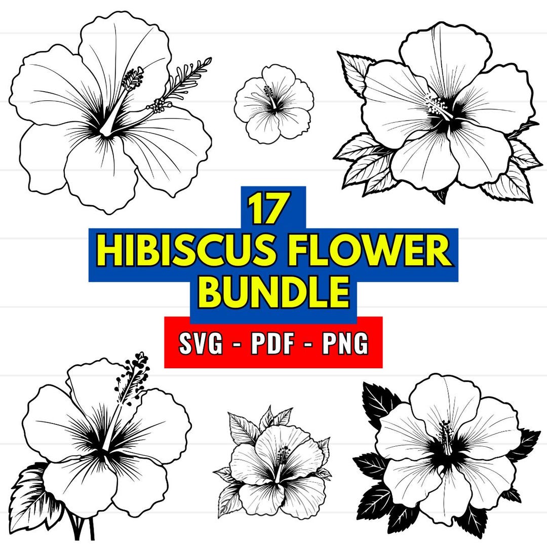 Hibiscus Flower SVG, Hibiscus Outline, PNG, PDF, Hibiscus Vector for Cricut, Flower Svg Bundle ...