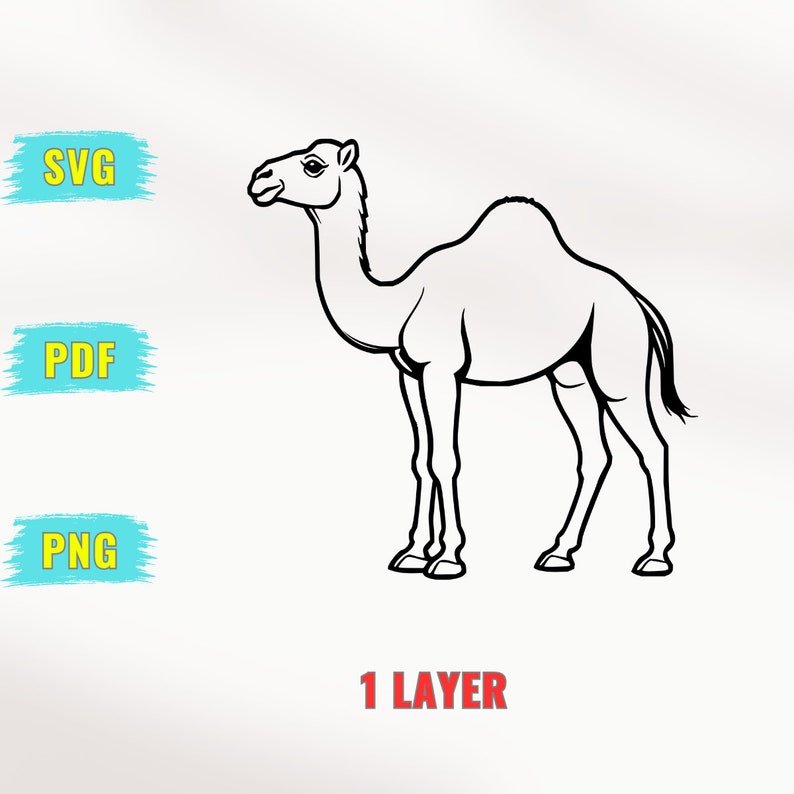 Camel SVG, Camel Outline, Camel Vector, Camel PNG 300 Dpi, PDF Camel ...