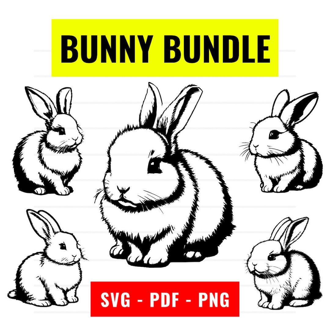 Cute Bunny SVG, Bunny Outline Svg Bundle, PNG, PDF Animal Svg Cute ...