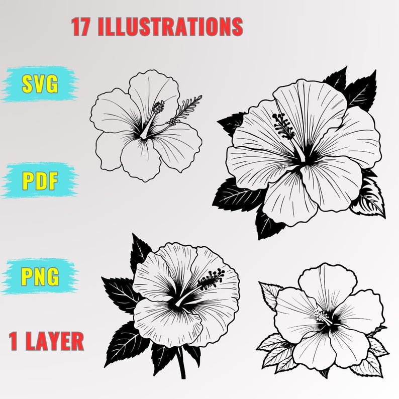 Hibiscus Flower SVG Bundle, PNG 300 Dpi: 17 Floral Designs (digital ...