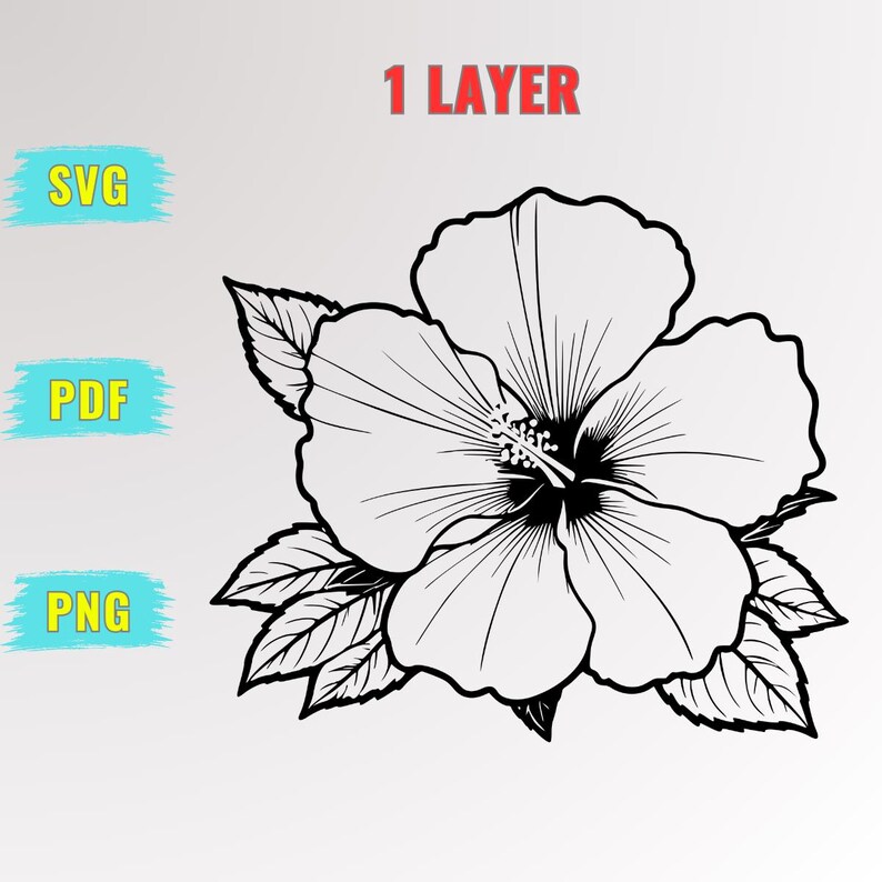 Hibiscus Flower SVG Bundle, PNG 300 Dpi: 17 Floral Designs (digital ...