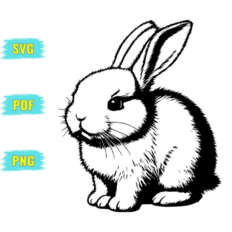 Cute Bunny SVG, Bunny Outline Svg Bundle, PNG, PDF Animal Svg Cute ...