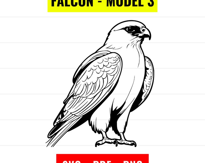 Falcon 3 Svg, Falcon Svg, Predator Bird Svg, Falcon Dxf, Falcon Png ...