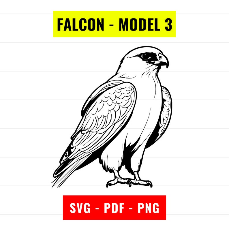 Falcon SVG, Falcon Outline Vector, Falcon PNG 300 Dpi, PDF, Falcon ...