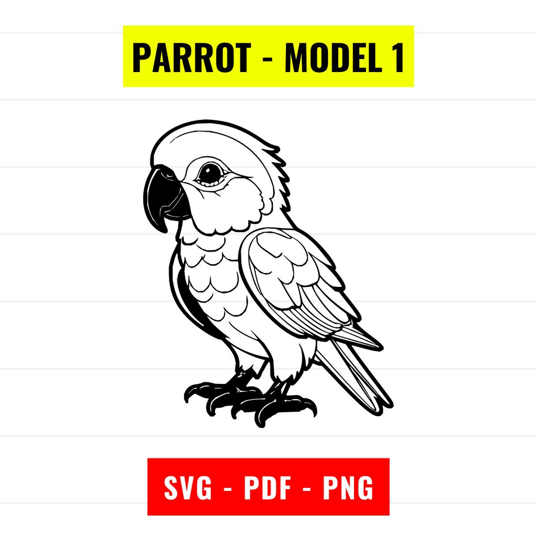 Cute Parrot SVG, Parrot Outline Vector, Parrot PNG 300 Dpi, PDF, Parrot ...