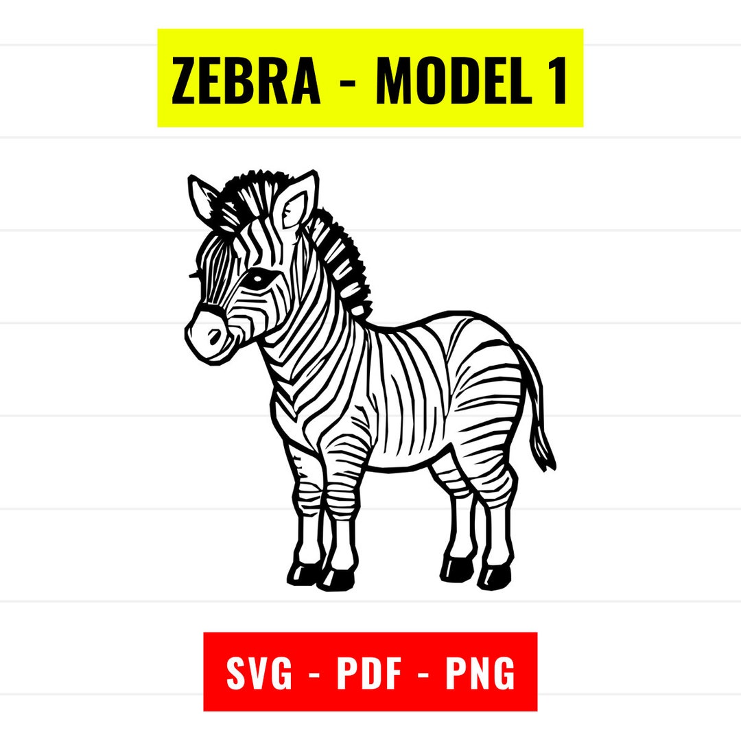 Zebra SVG, Cute Baby Zebra Outline, Zebra Vector, Zebra PNG 300 Dpi ...