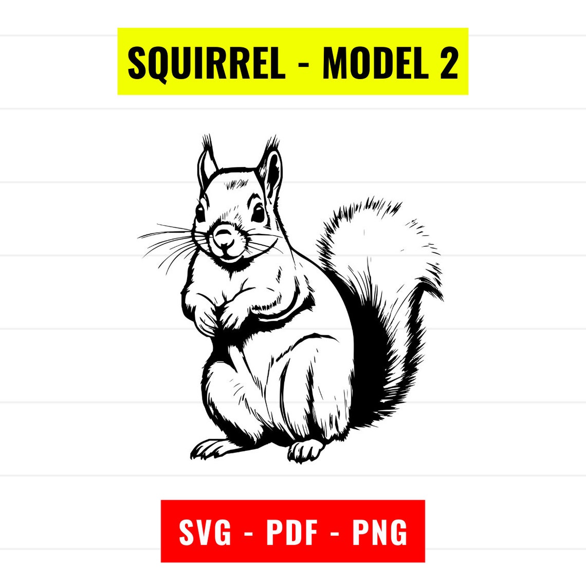 Cute Squirrel SVG, Squirrel Outline Vector, Squirrel Svg, Cute Squirrel ...