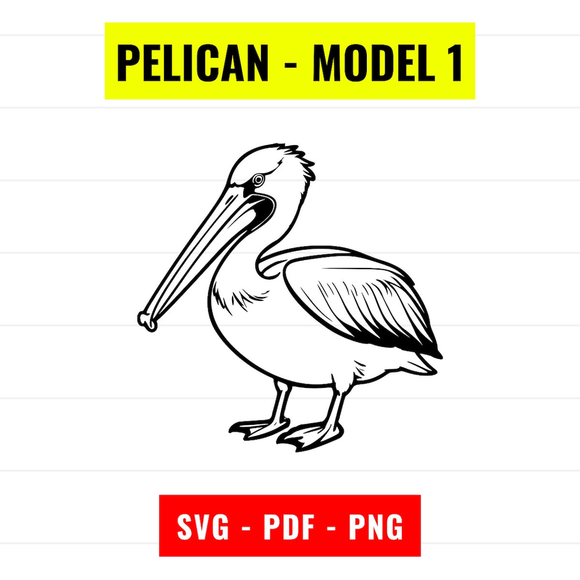 Pelican SVG, Pelican Outline Svg, PNG, PDF, Bird Svg, Pelican Vector ...