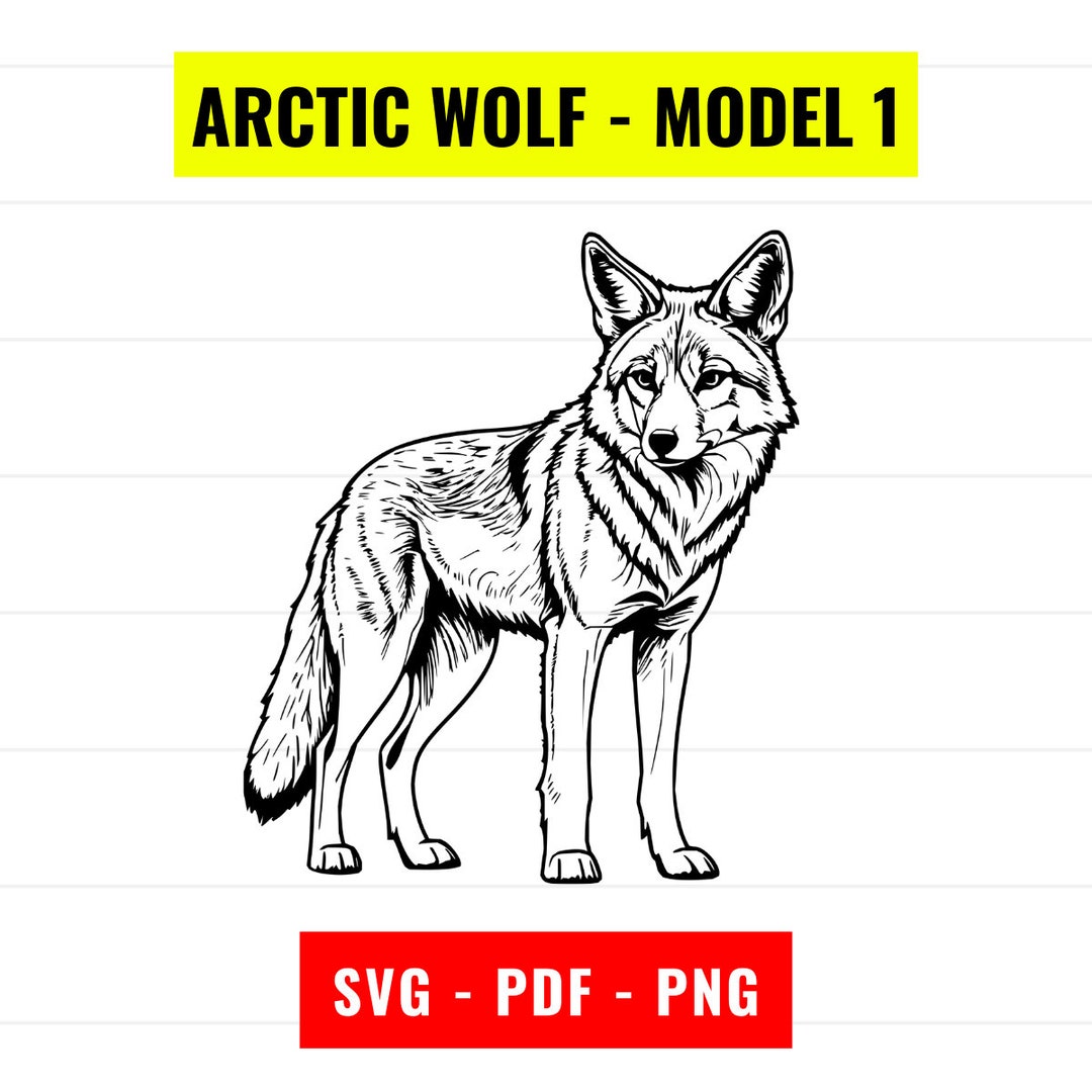 Arctic Wolf SVG, Arctic Wolf Outline Vector, Arctic Wolf Svg, Wolf PNG ...