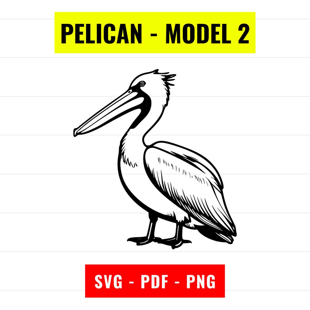 Pelican SVG, Pelican Outline Svg, PNG, PDF, Bird Svg, Pelican Vector ...