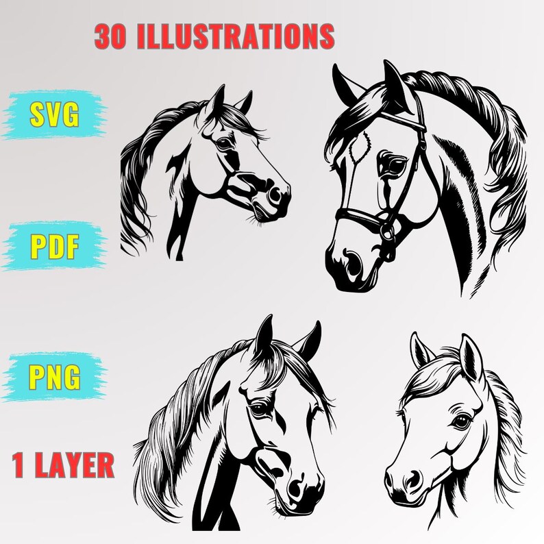 Horse Head SVG Bundle: 30 Vector Designs (digital Download) - Etsy