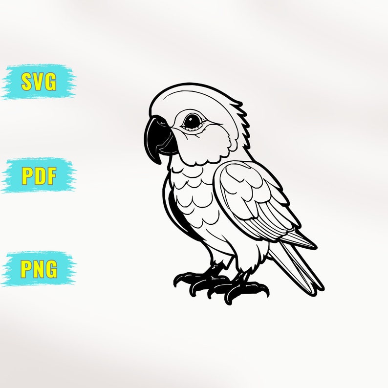 Cute Parrot SVG, Parrot Outline Vector, Parrot PNG 300 Dpi, PDF, Parrot ...