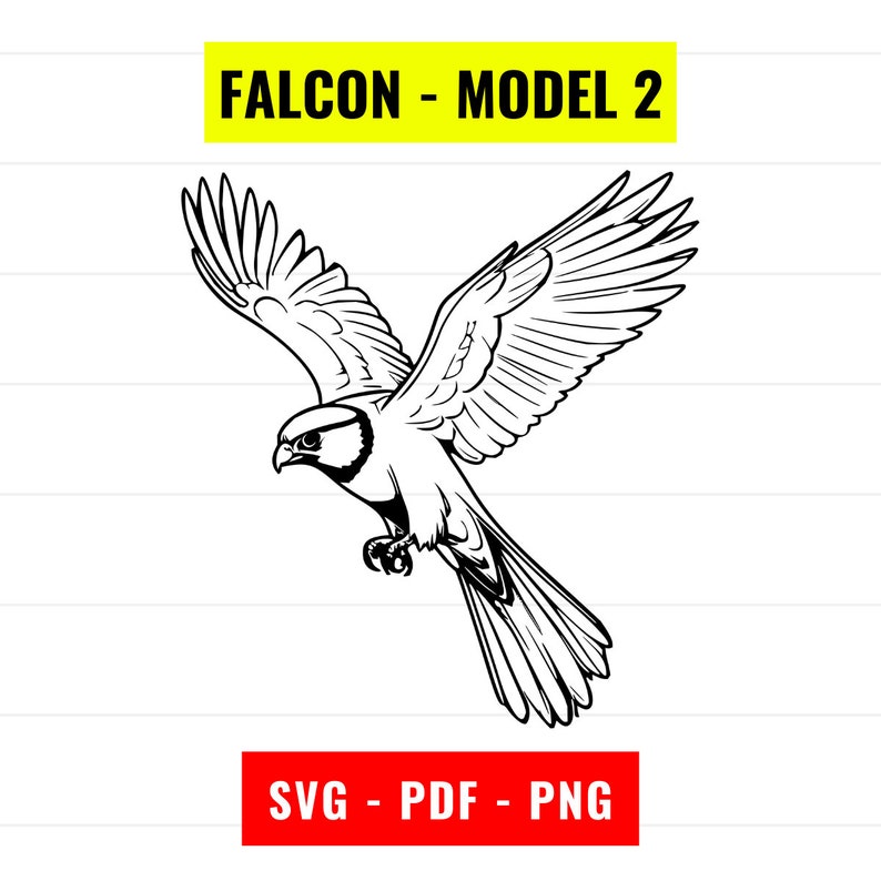 Falcon SVG, Falcon Outline Vector, PNG 300 Dpi, PDF, Bird of Prey ...
