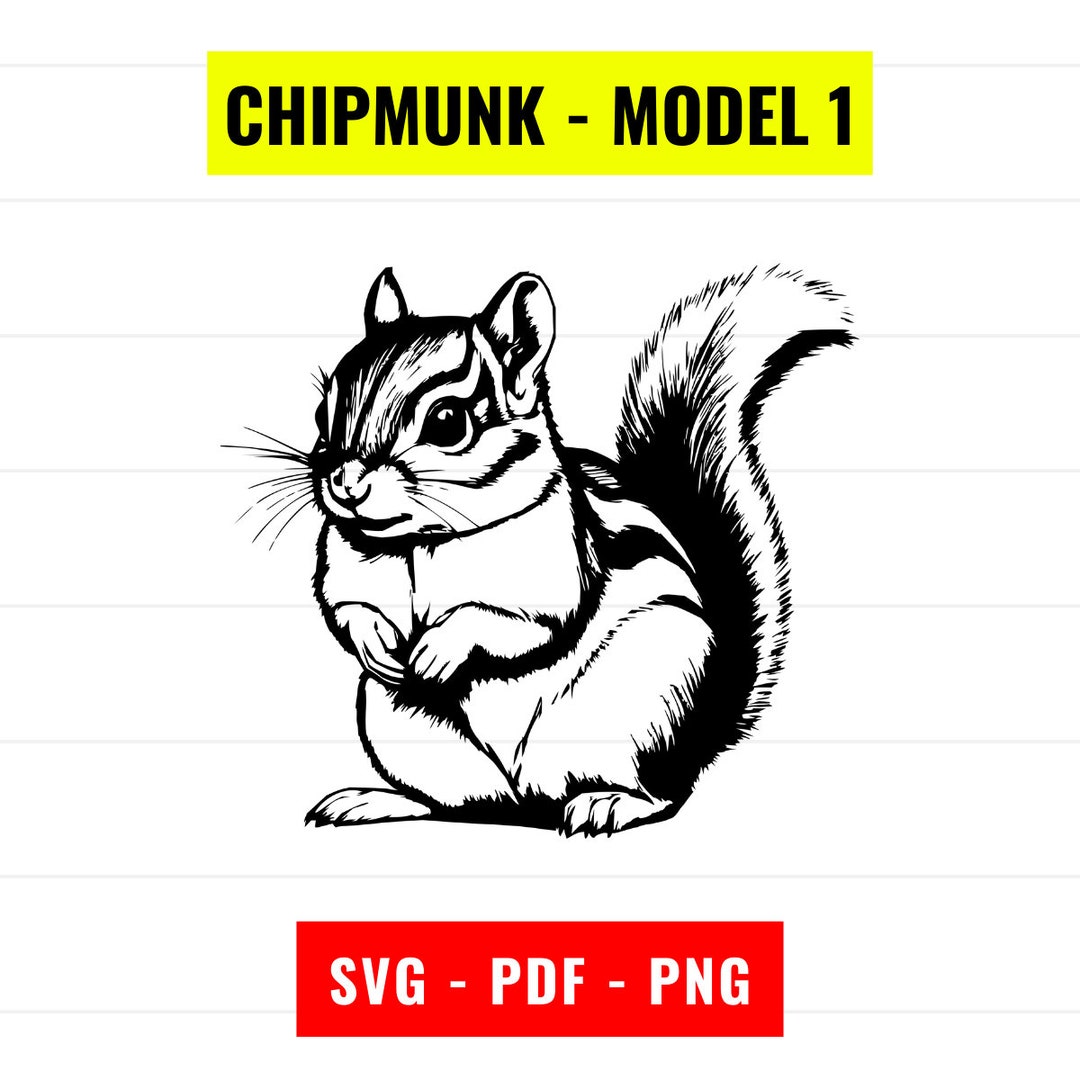 Chipmunk SVG, Squirrel Outline, Chipmunk Squirrel Vector, PNG 300 Dpi ...