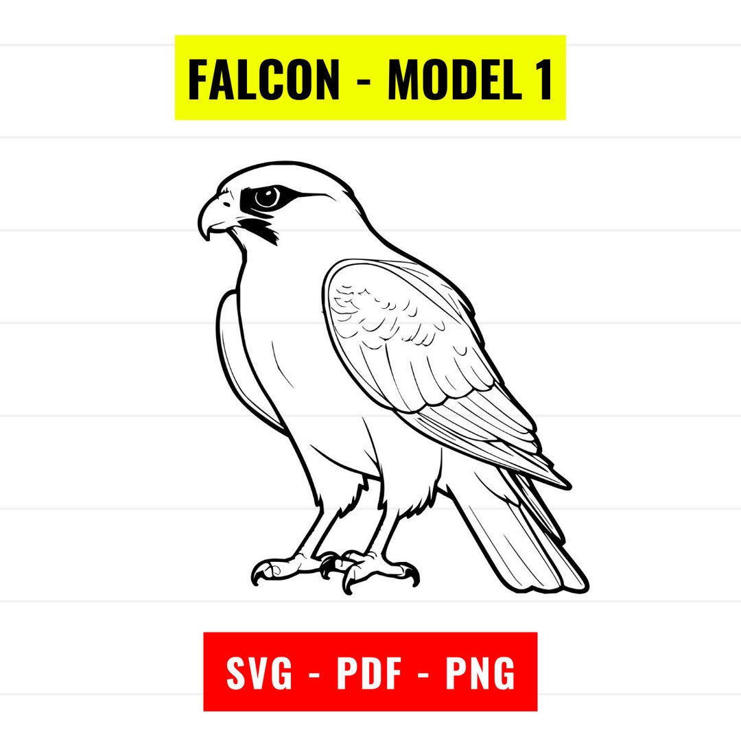 Falcon SVG, Falcon Outline Vector, Falcon PNG 300 Dpi, PDF, Falcon ...