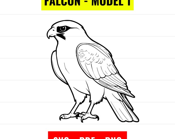 Falcon 3 Svg, Falcon Svg, Predator Bird Svg, Falcon Dxf, Falcon Png ...