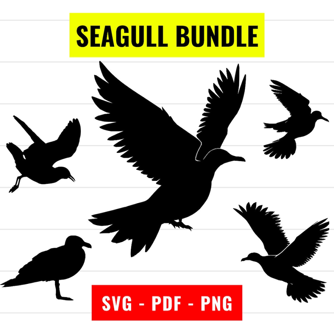 Seagull SVG, Seagull Bundle, PNG 300 Dpi, PDF Animal Svg Seagull ...