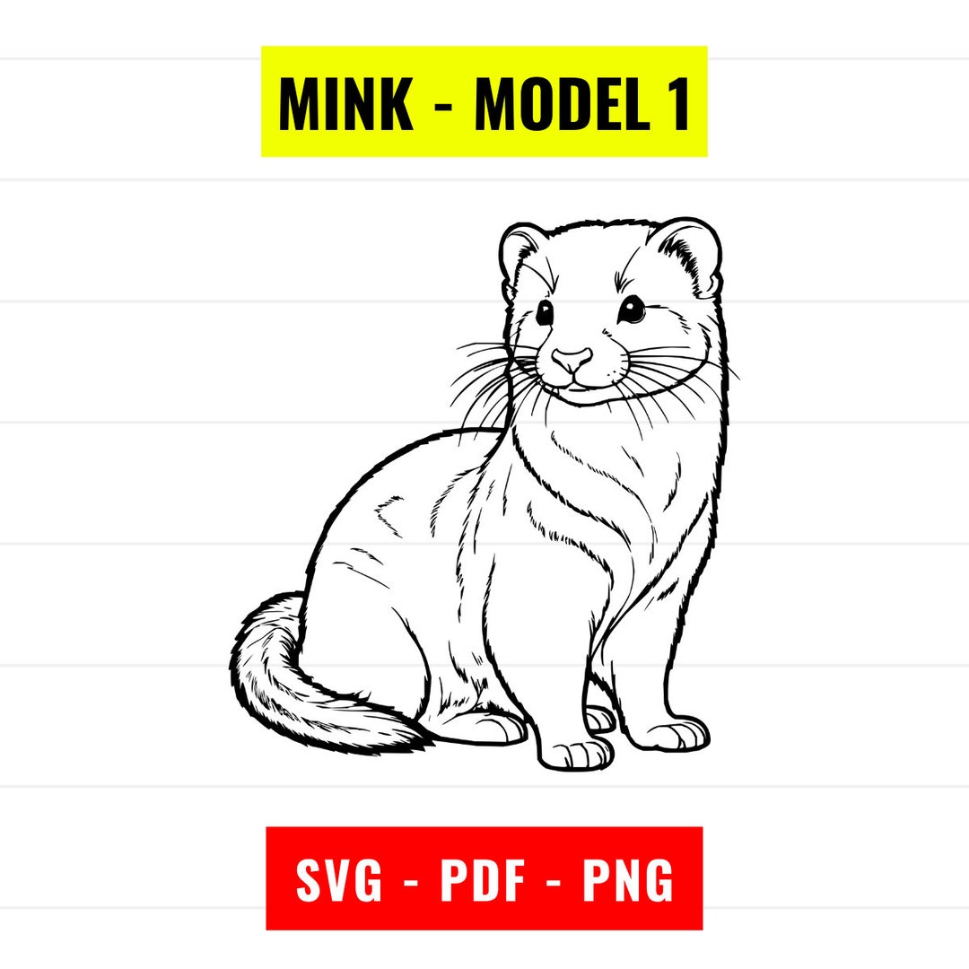 Mink SVG, Mink Outline, Mink Vector, PNG 300 Dpi, PDF, Cute Mink ...
