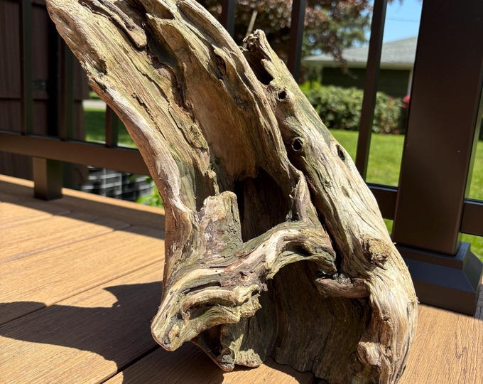 Natural Driftwood 10x7 – Unfinished One-of-a-kind With Hollow & Grooves ...