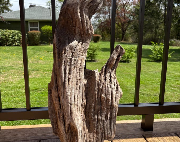 Natural Driftwood Plank 22x6 – Rustic Organic Wood for Home Decor ...