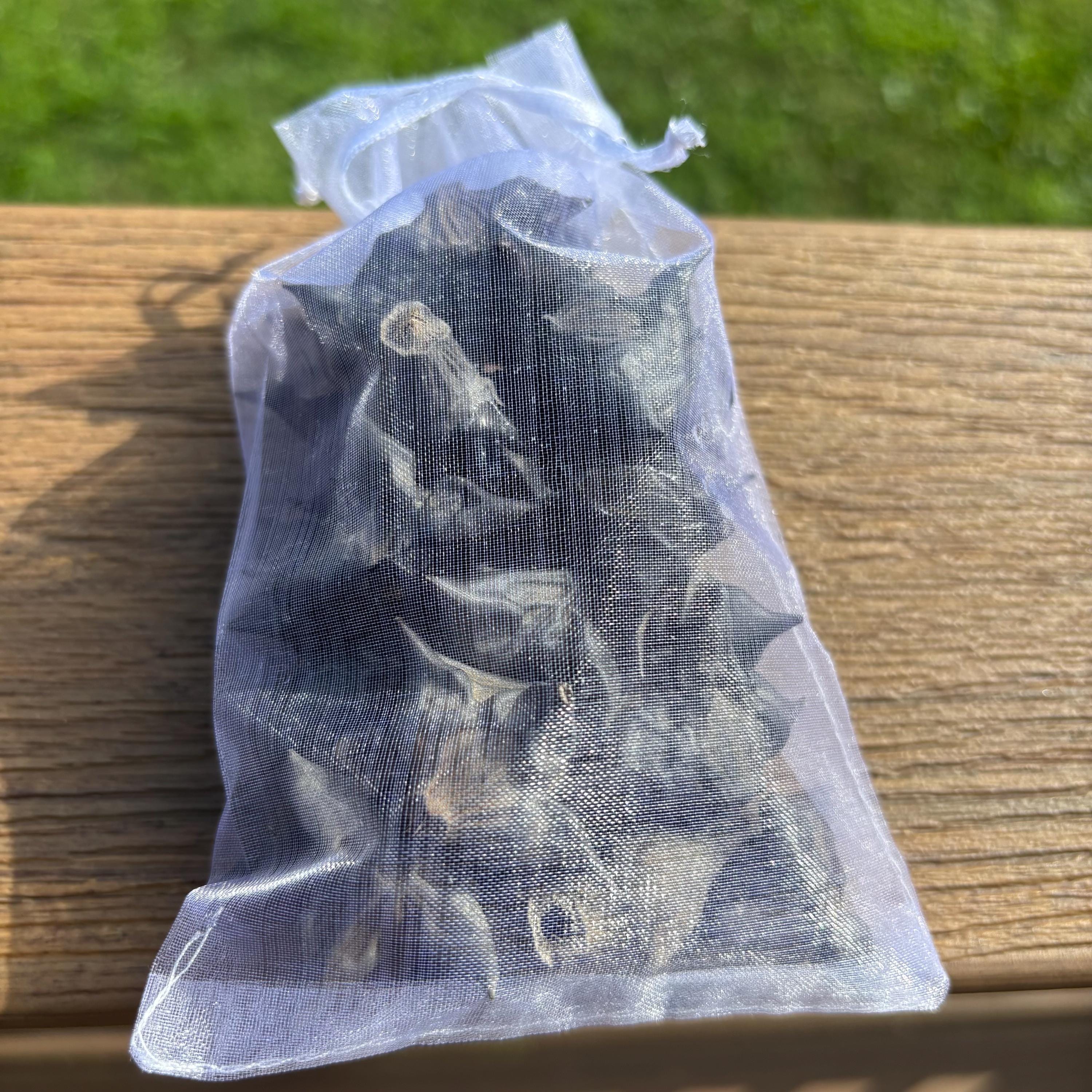 Horned Water Chestnut Seed Pods – Spooky Halloween Witchy Crafts ...
