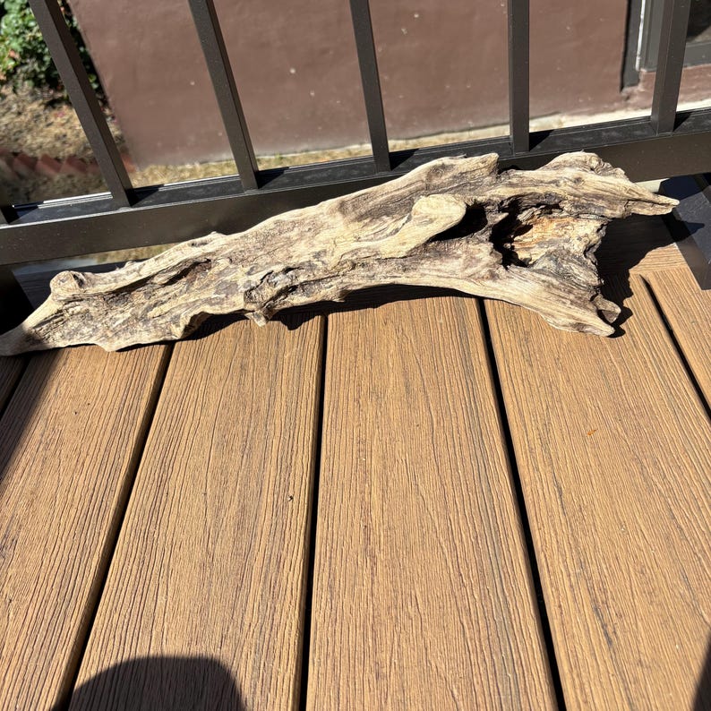 Natural Uncut Driftwood | Rustic Aquarium, Terrarium, Reptile Decor (24x3.5x5.5 In) - Etsy