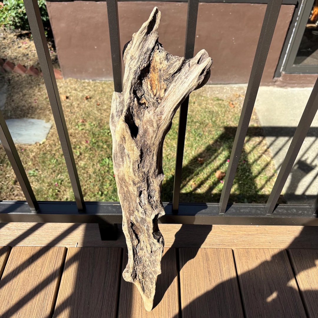 Natural Uncut Driftwood | Rustic Aquarium, Terrarium, Reptile Decor (24x3.5x5.5 In) - Etsy
