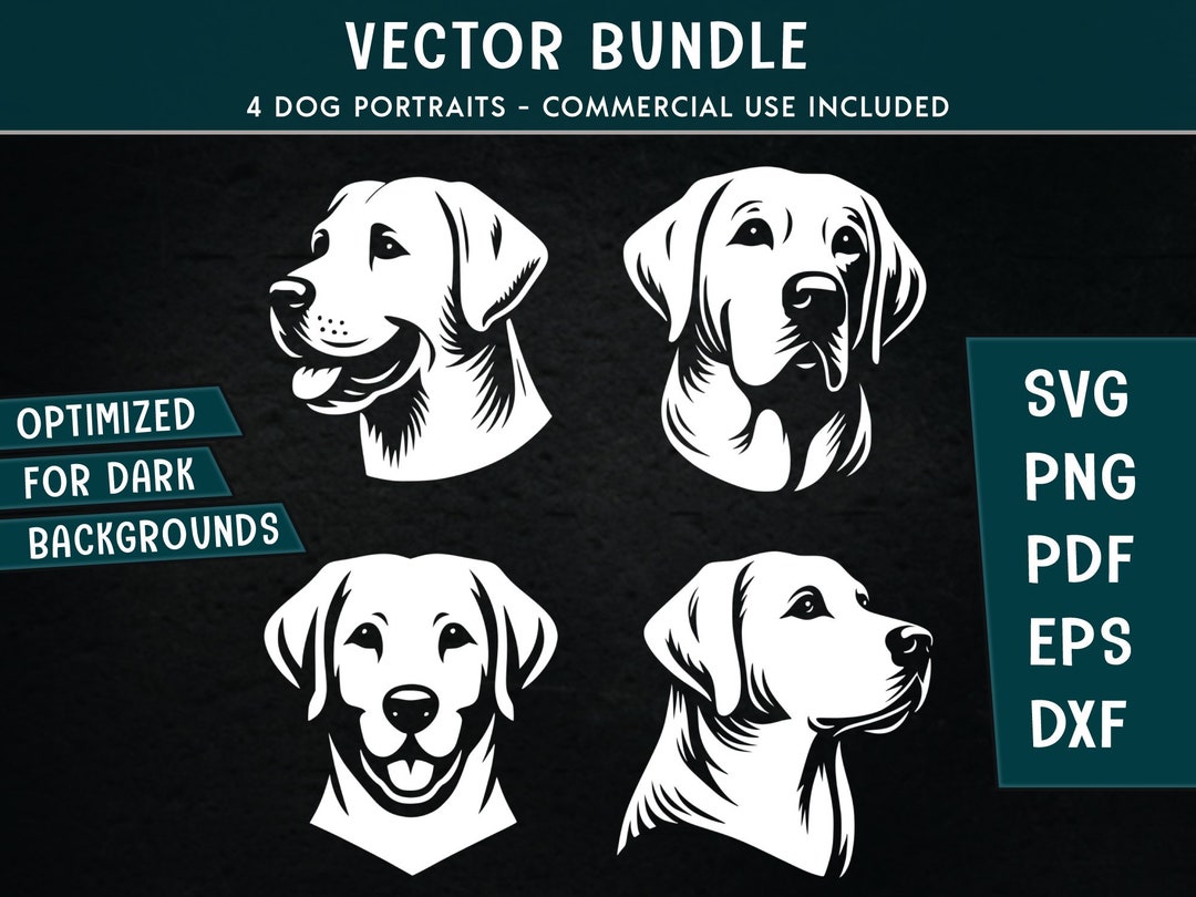 Labrador Portrait SVG Bundle Png, Pdf , Eps, Dxf Vector Files, White on ...