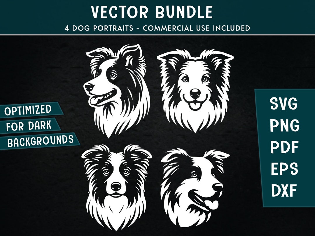Border Collie Portrait SVG Bundle Png, Pdf, Eps, Dxf Vector Files ...