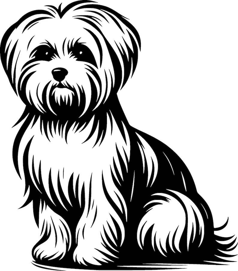 Maltese Maltese Dog SVG BUNDLE PNG Silhouette Clipart Instant Download ...
